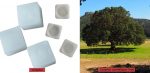 10 Ways You Can Use Camphor At Home, Health Benefits