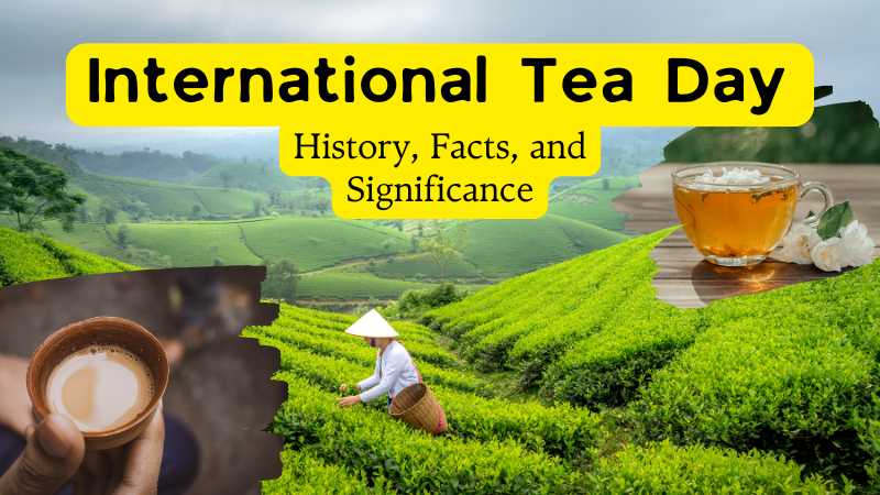 International Tea Day: History, Facts, and Significance